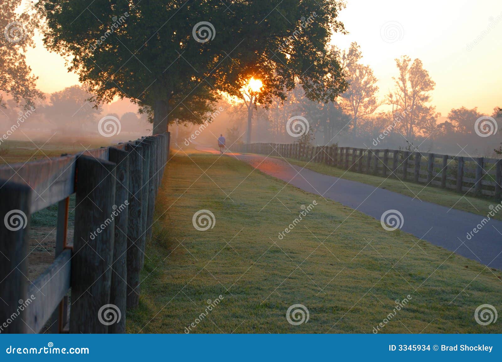 Sunrise walk stock photo. Image of grass, trail, walk - 3345934