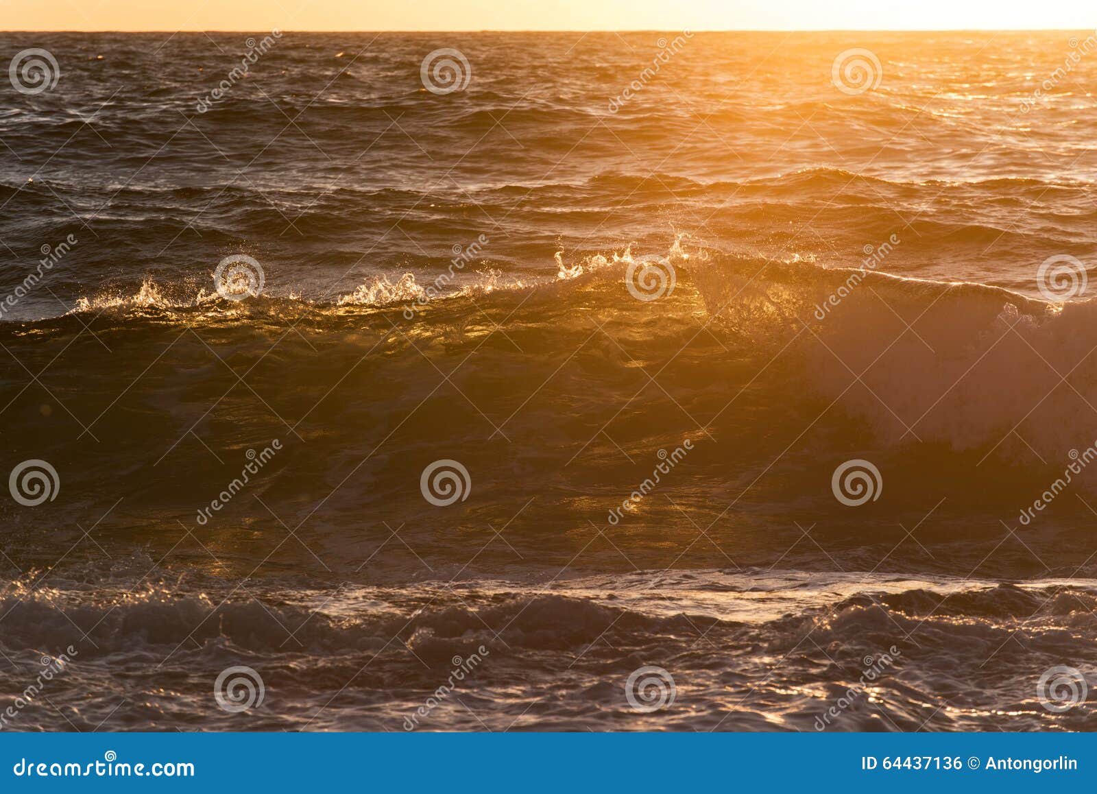 Sunrise Wave with Back Light Stock Photo - Image of crest, green: 64437136