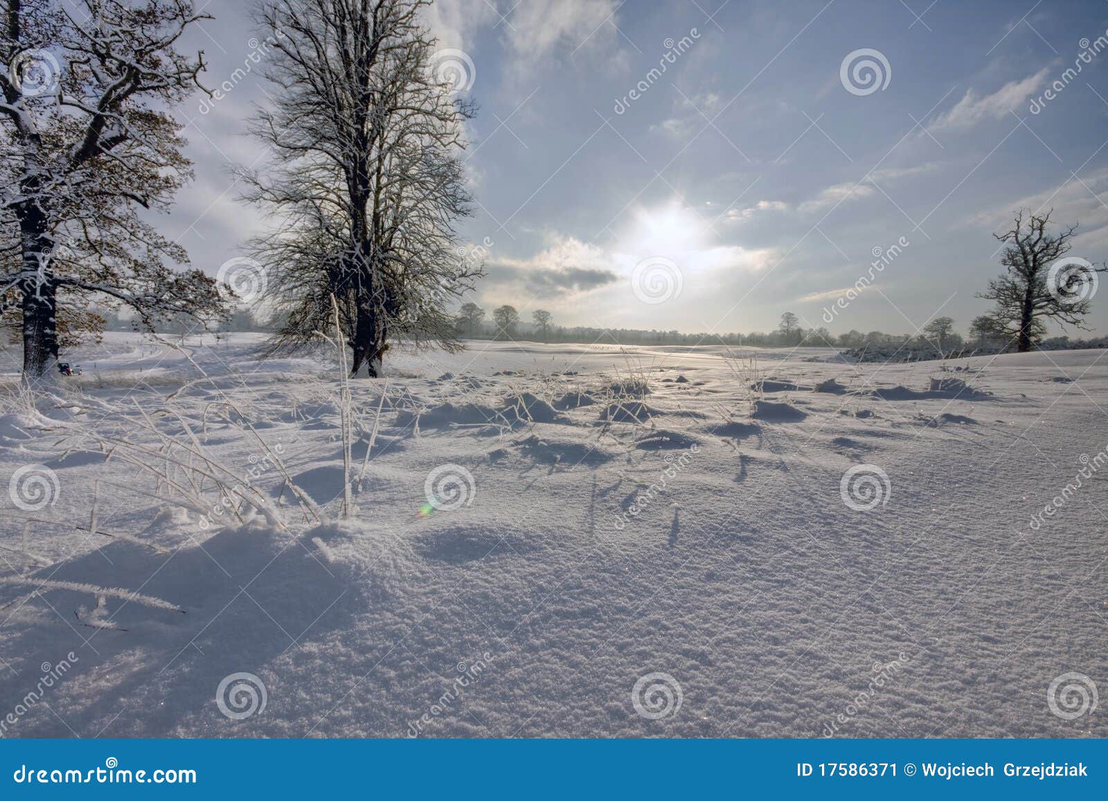 Sunrise in winter stock image. Image of nature, sunrise - 17586371
