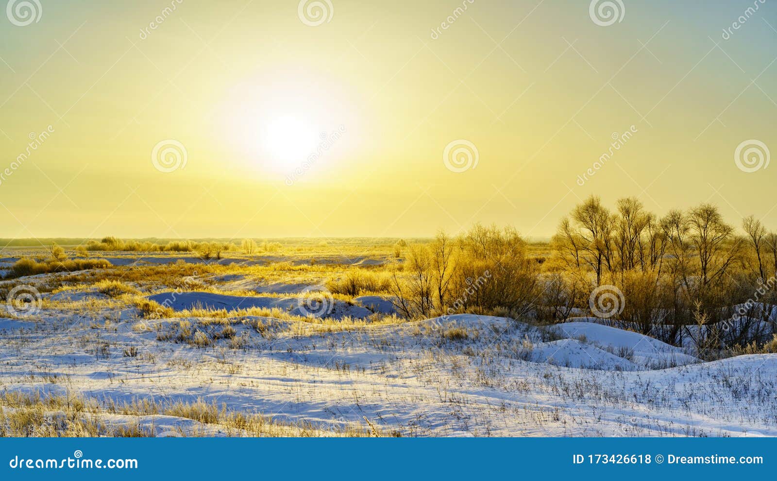 Sunrise in a Winter Forest with Trees in Hoarfrost. Stock Photo - Image ...