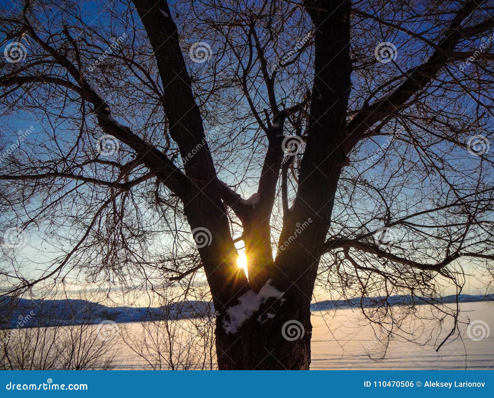 Sunrise in Winter on a Lake View through a Tree Stock Photo - Image of ...