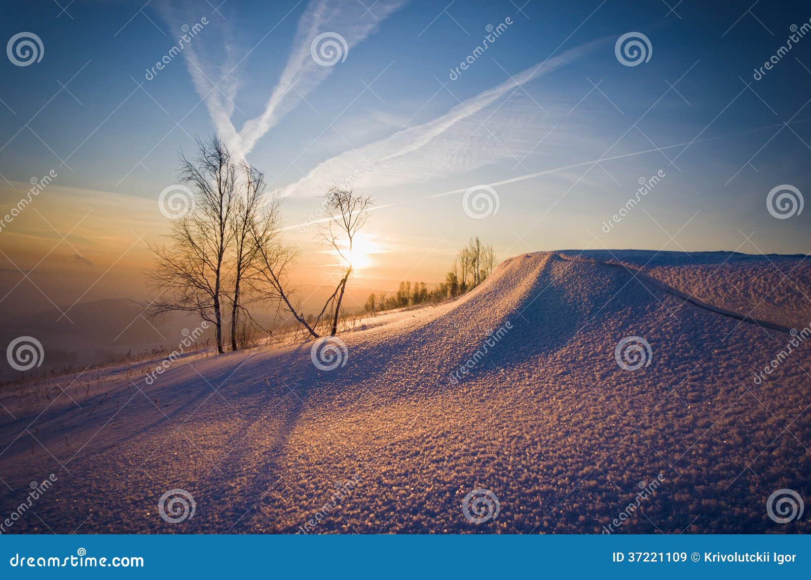 Sunrise in winter stock image. Image of sunlight, forest - 37221109