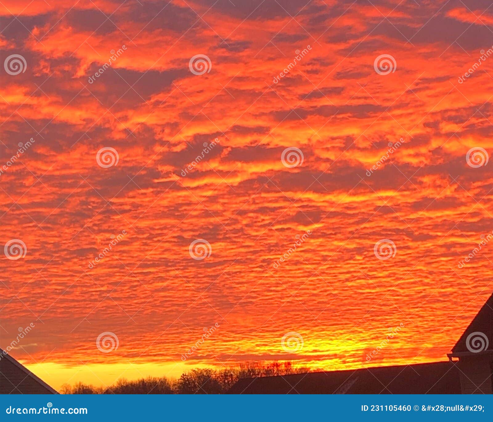 Sunrise stock photo. Image of yellow, sunrise, twilight - 231105460