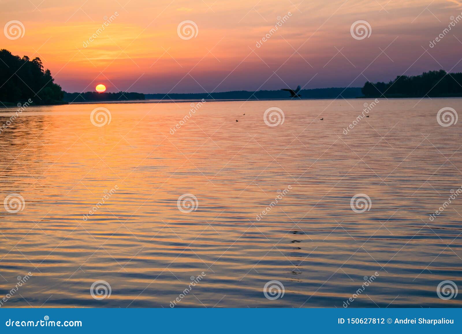 Sunrises Sunsets on a Summer Pond in the Forest Stock Photo - Image of ...