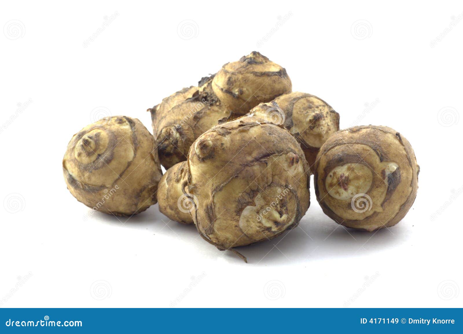 Sunroot stock image. Image of cultivated, sunroot, sunchoke - 4171149