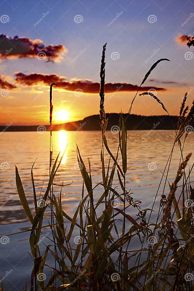 Sunset stock image. Image of morning, gold, light, spring - 22166743
