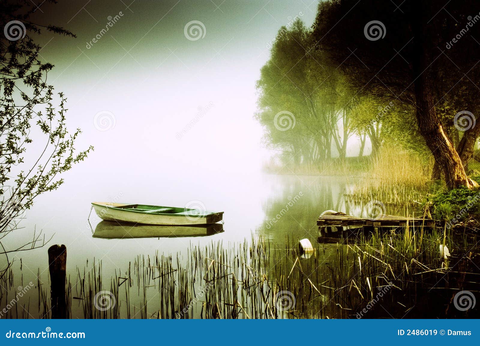 Polar Array Star Stock Photos - Free & Royalty-Free Stock Photos from ...