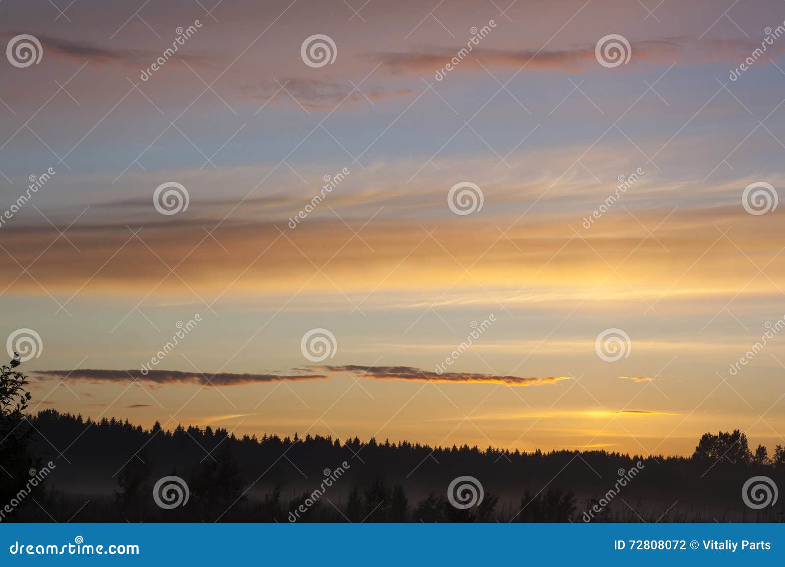 Sunset above the forest stock photo. Image of tree, dark - 72808072