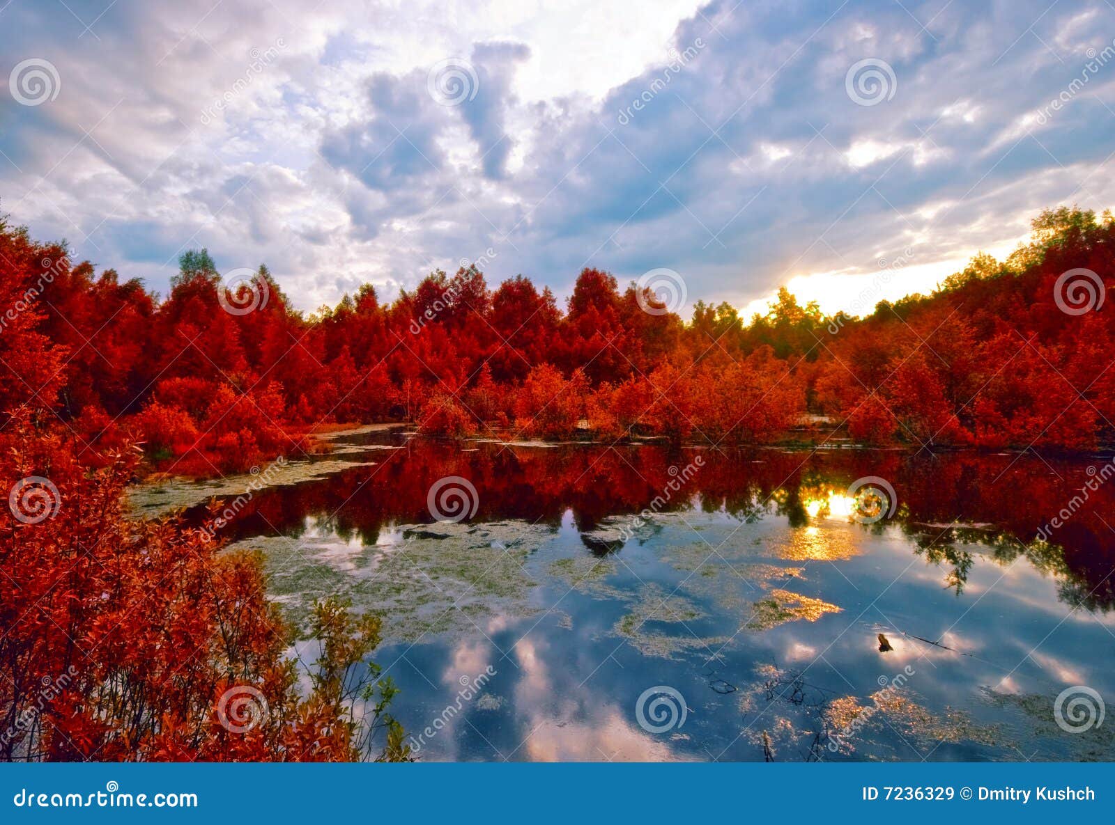 Sunset Above Red Gloomy Spring Lake Stock Image - Image of detail, lake ...