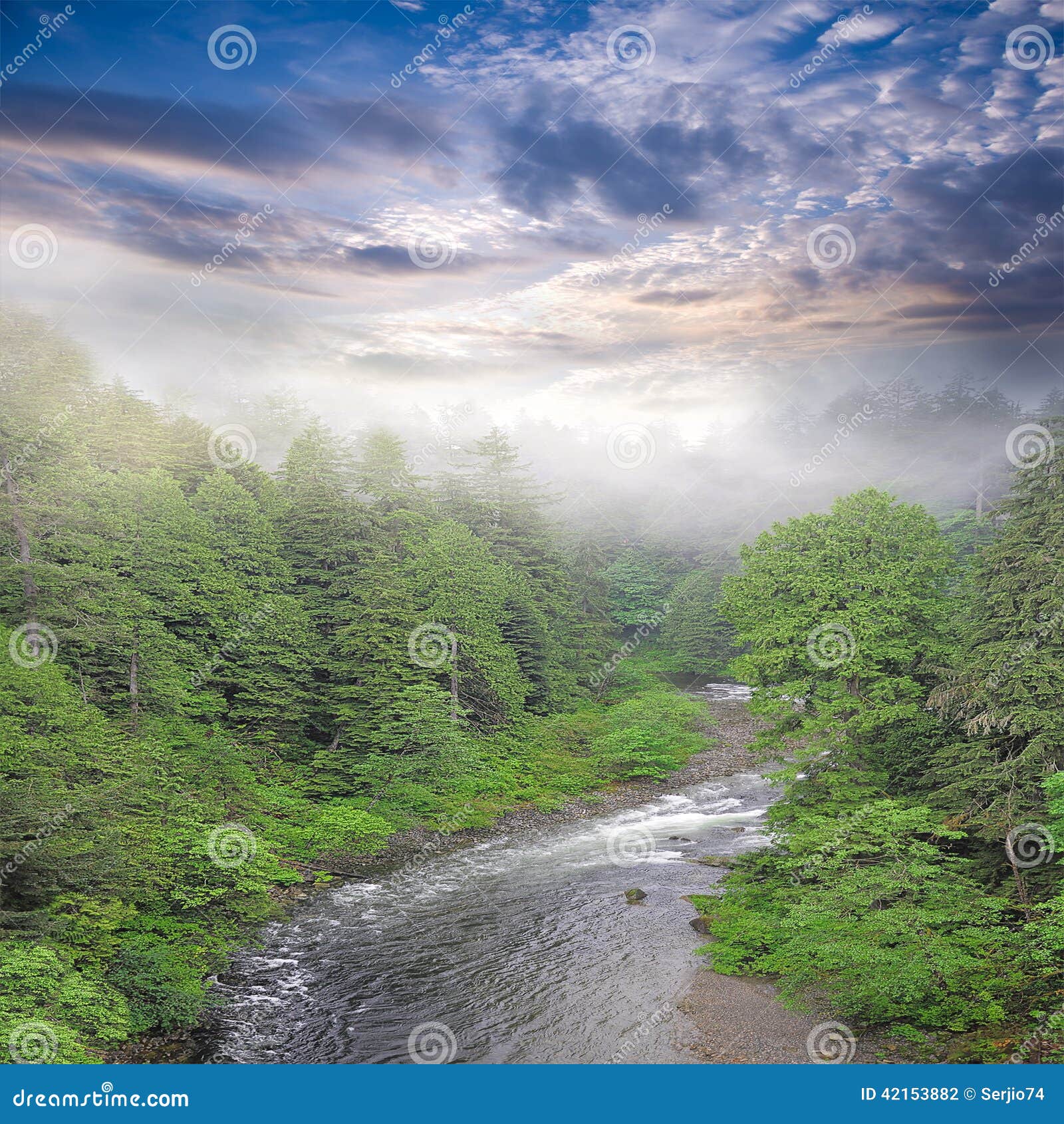 Sunset Above the River in Deep Forest. Stock Photo - Image of ...