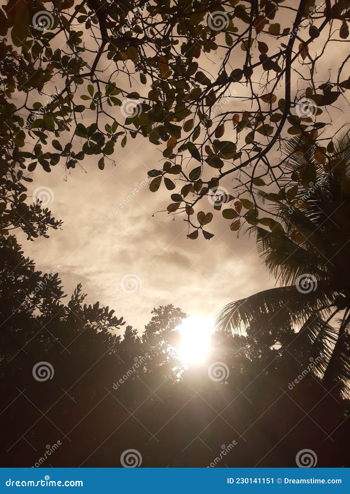 Sunset Aesthetic Light Photograph Couple Beach Sea Ocean Darksky Paint ...