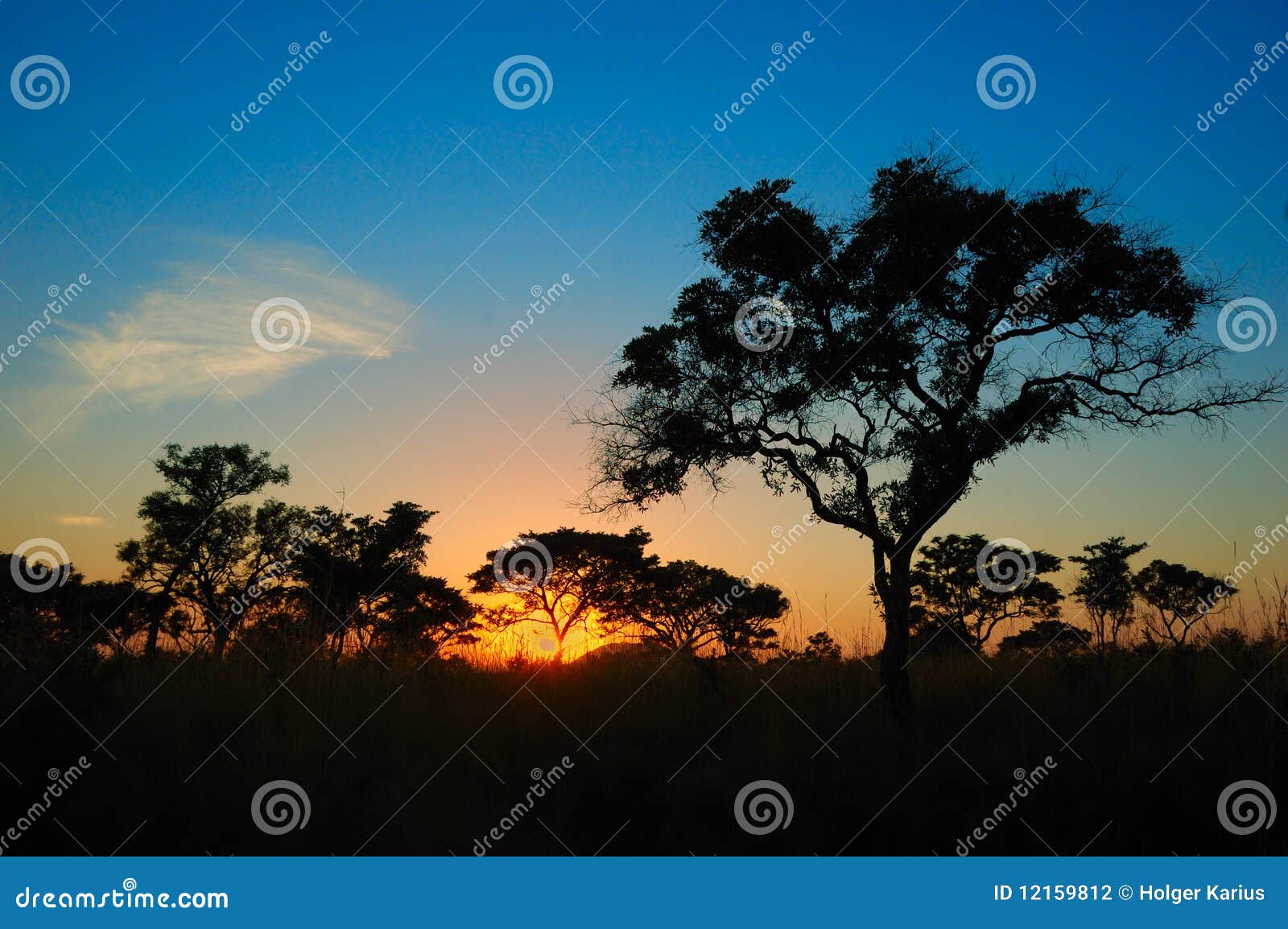 Sunset in the African Bush (South Africa) Stock Photo - Image of ...