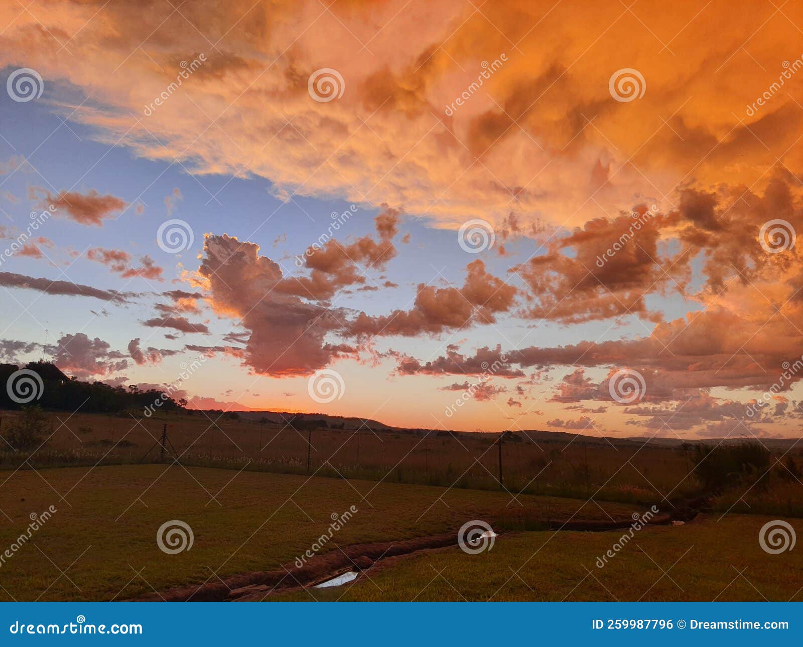 A Sunset in the African Bushveld Stock Photo - Image of painting, cloud ...
