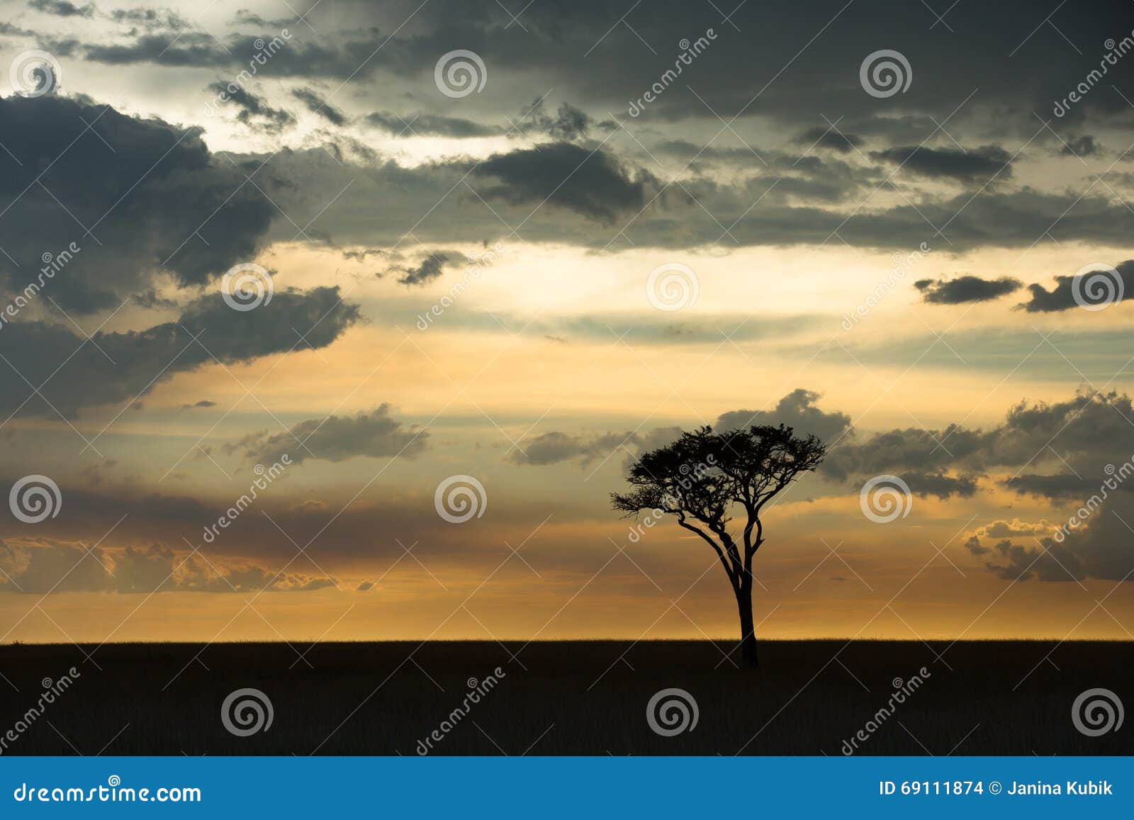 Sunset on the African Savannh Stock Photo - Image of mara, five: 69111874