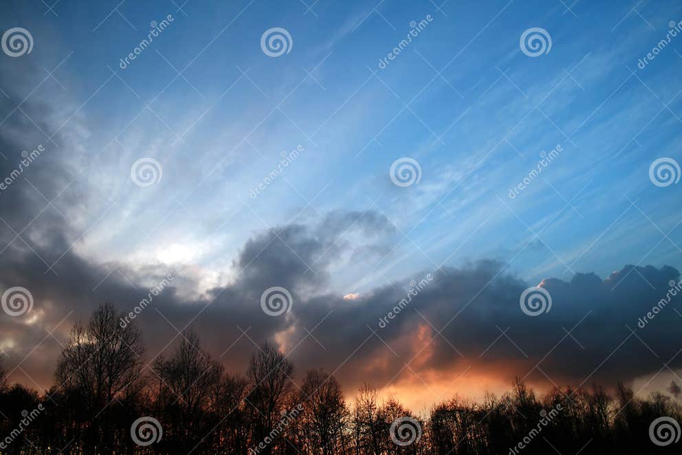 Sunset against forest stock photo. Image of golden, morning - 4034210