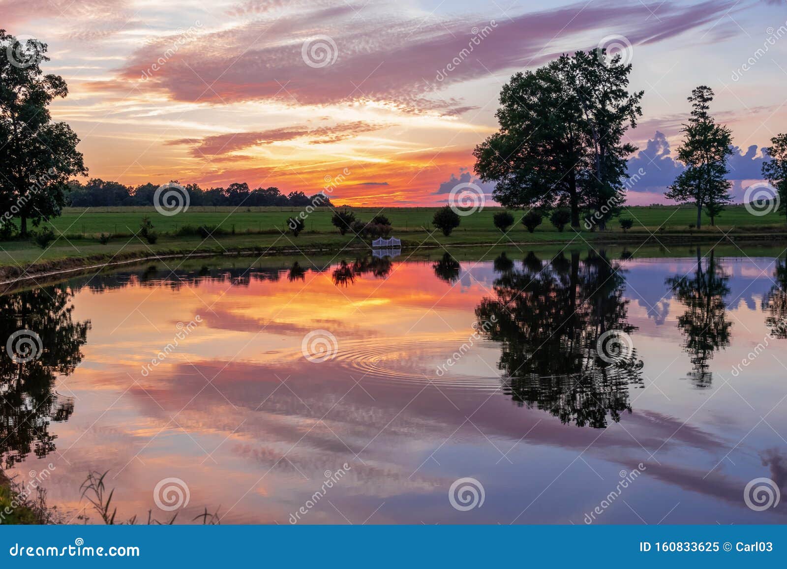 Sunset on the Alabama Pond stock image. Image of alabama - 160833625
