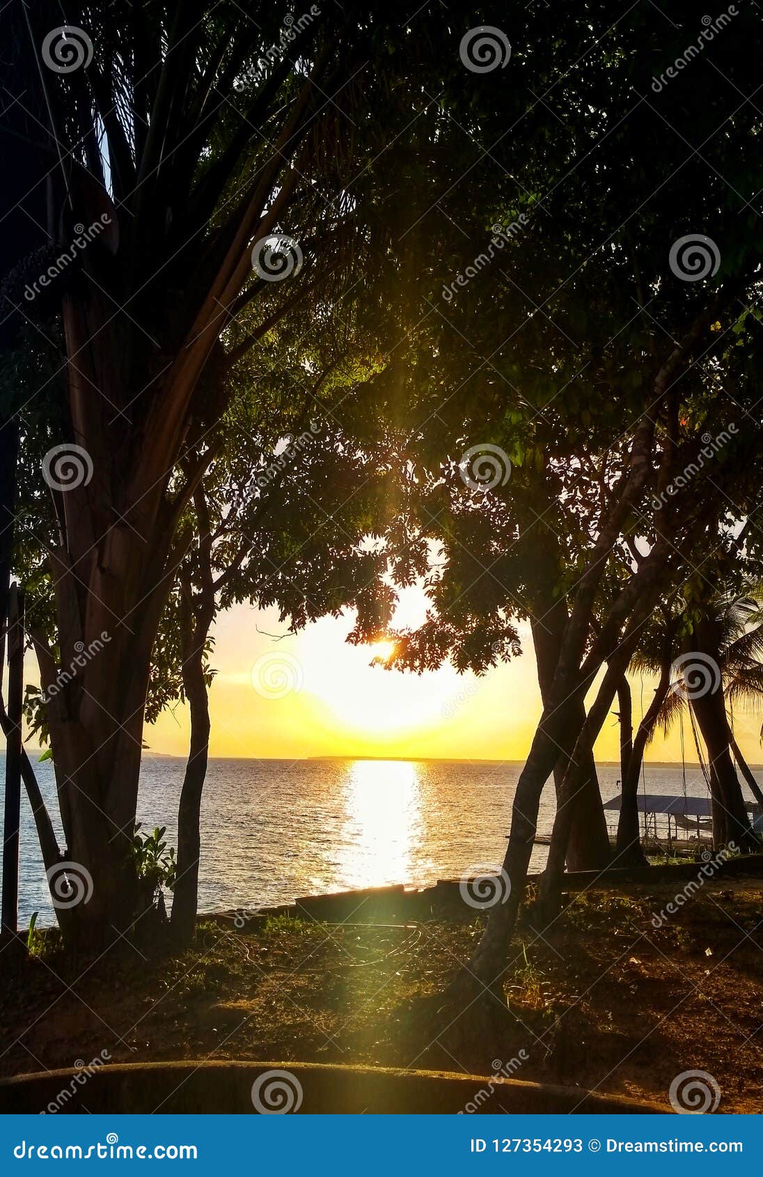 Sunset of Amazon stock image. Image of tropical, forests - 127354293