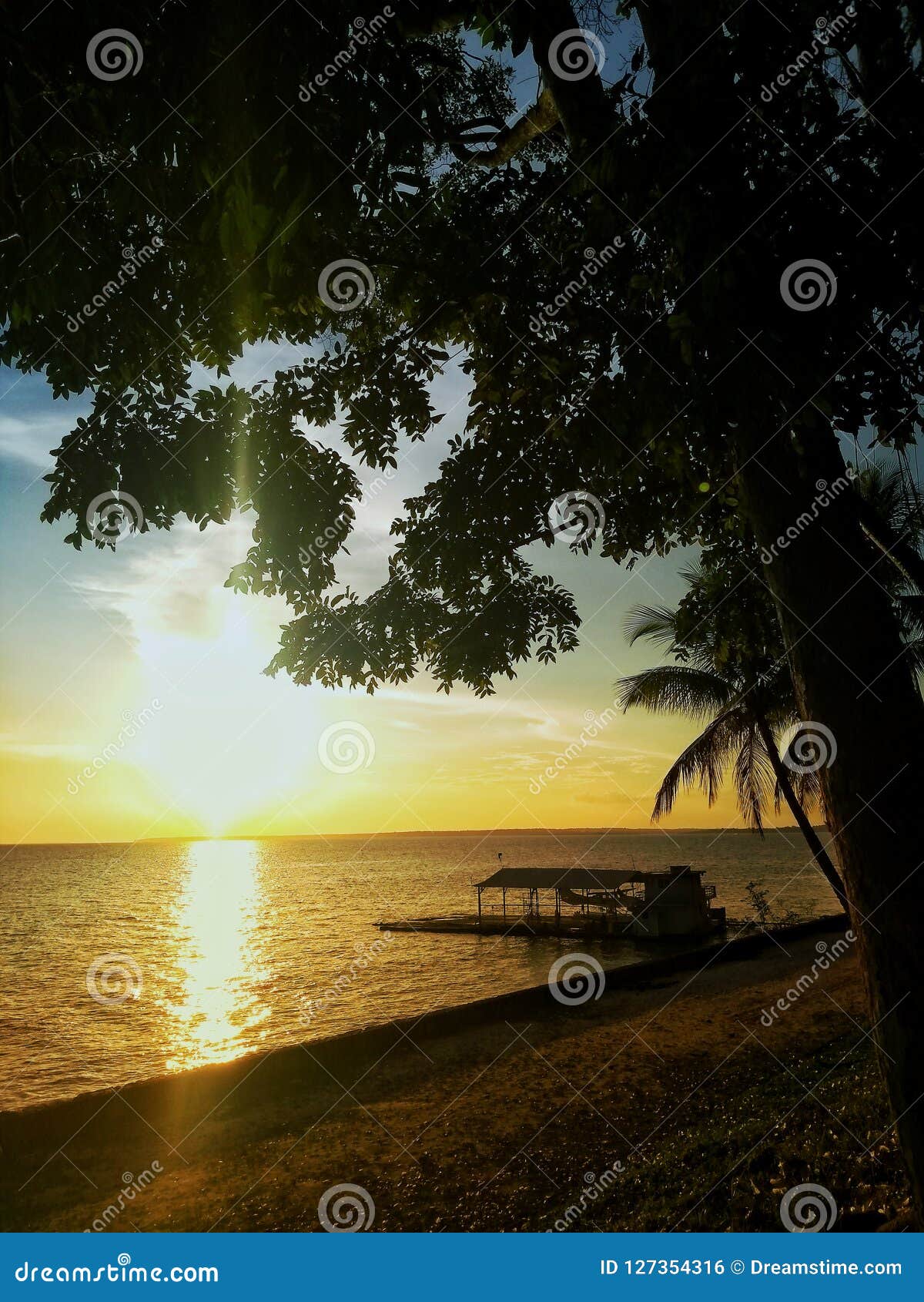 Sunset of Amazon stock photo. Image of blue, amazon - 127354316