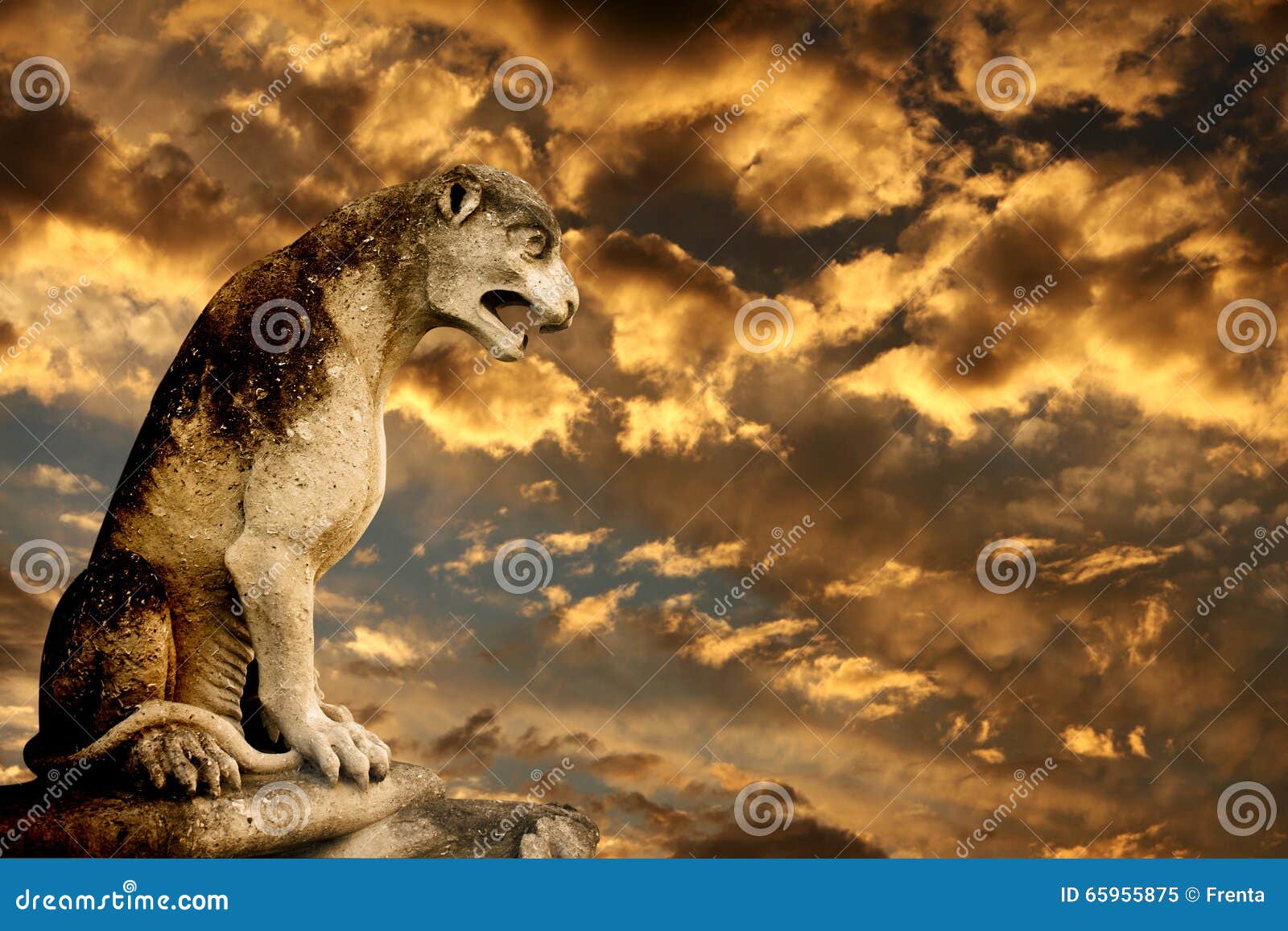 534 Storm Lion Photos - Free & Royalty-Free Stock Photos from Dreamstime