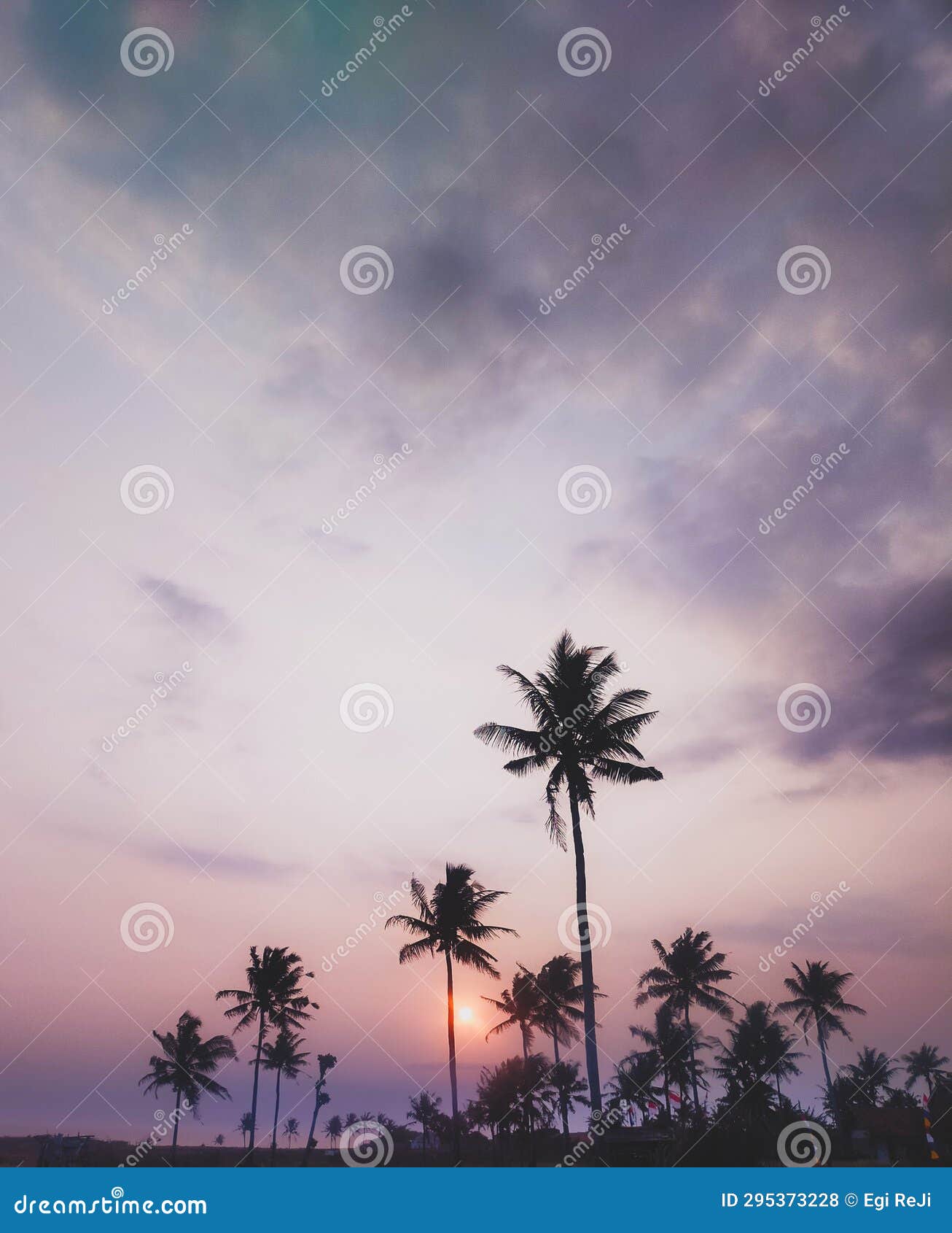 Sunset Atmosphere on the Beach with Coconut Tree in Tropical Island ...
