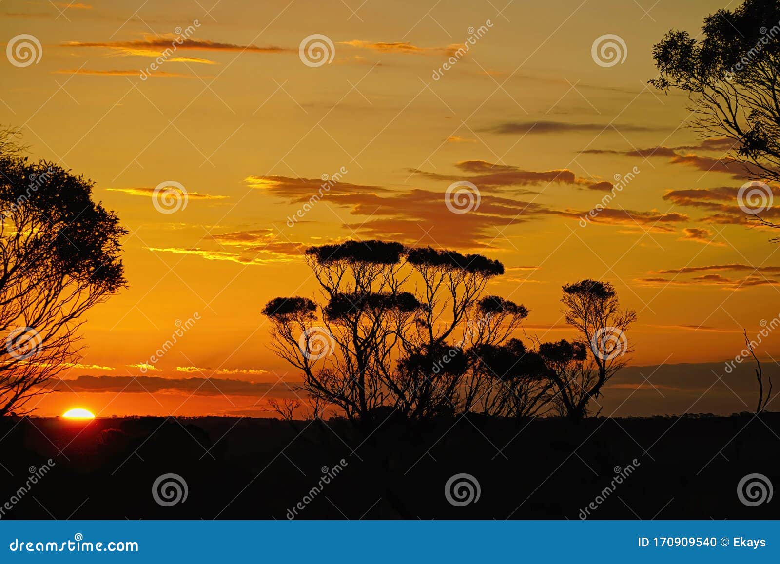 Sunset in Australia stock photo. Image of cloudscape - 170909540