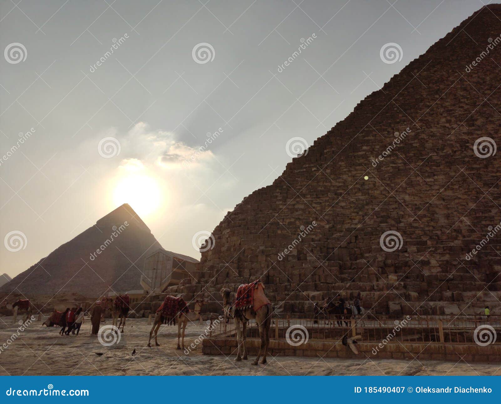 Sunset on the Background of the Egyptian Pyramids Editorial Photography ...