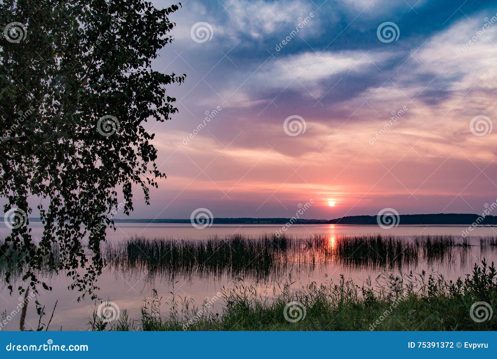 Sunset on the Background of the Lake Stock Photo - Image of orange ...