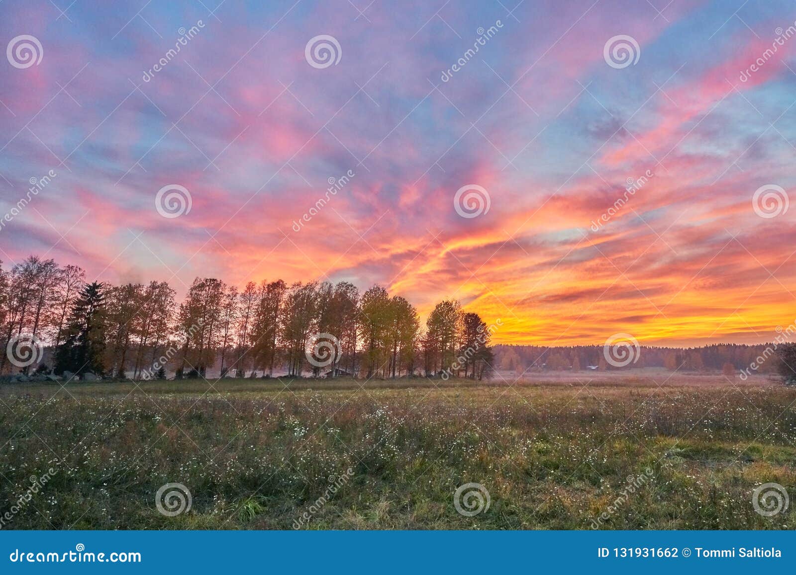 Sunset on the Backyard stock photo. Image of park, scandinavia - 131931662