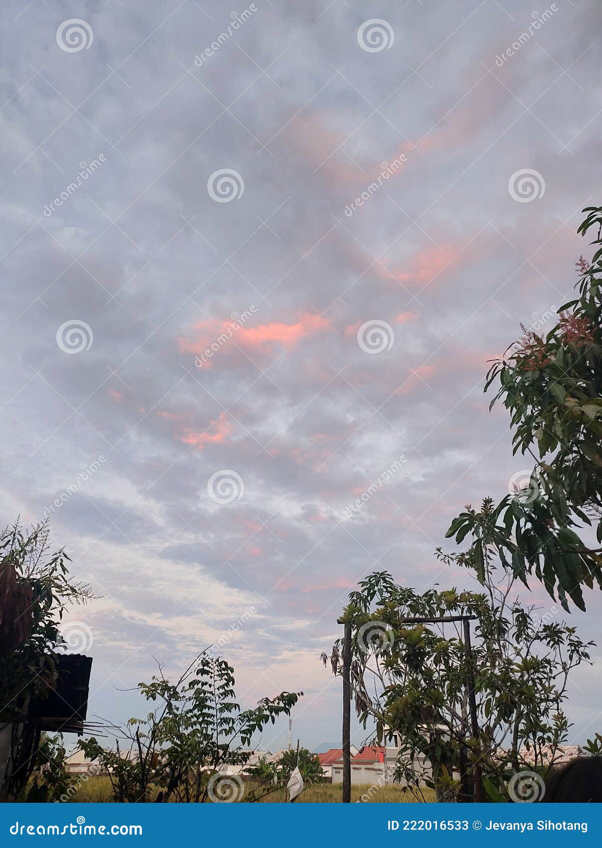 Sunset in the backyard stock image. Image of cloud, plant - 222016533
