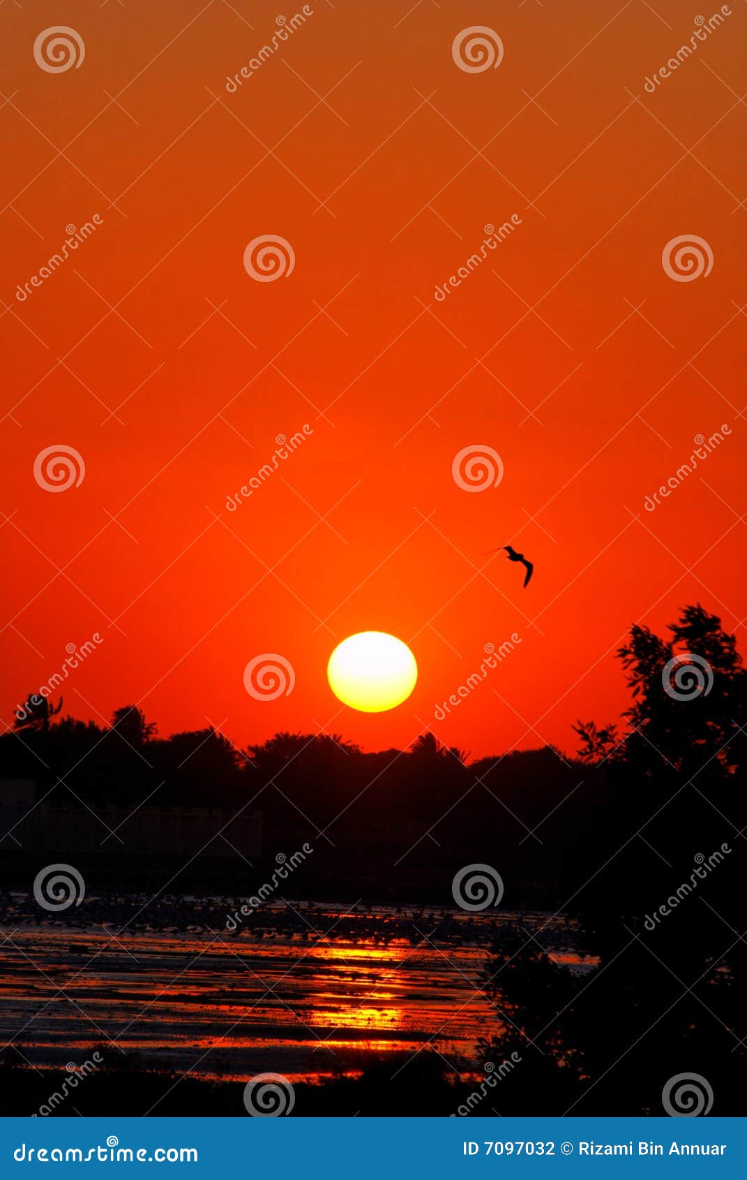 Sunset in Bahrain stock photo. Image of fresh, beautiful - 7097032
