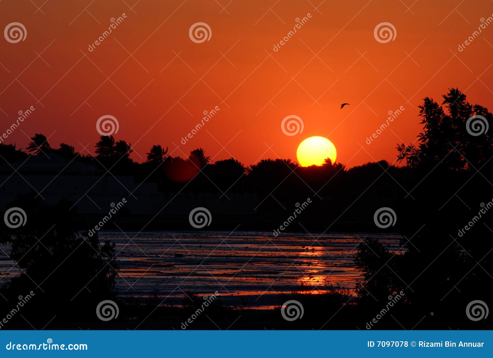 Sunset in Bahrain stock photo. Image of outside, land - 7097078