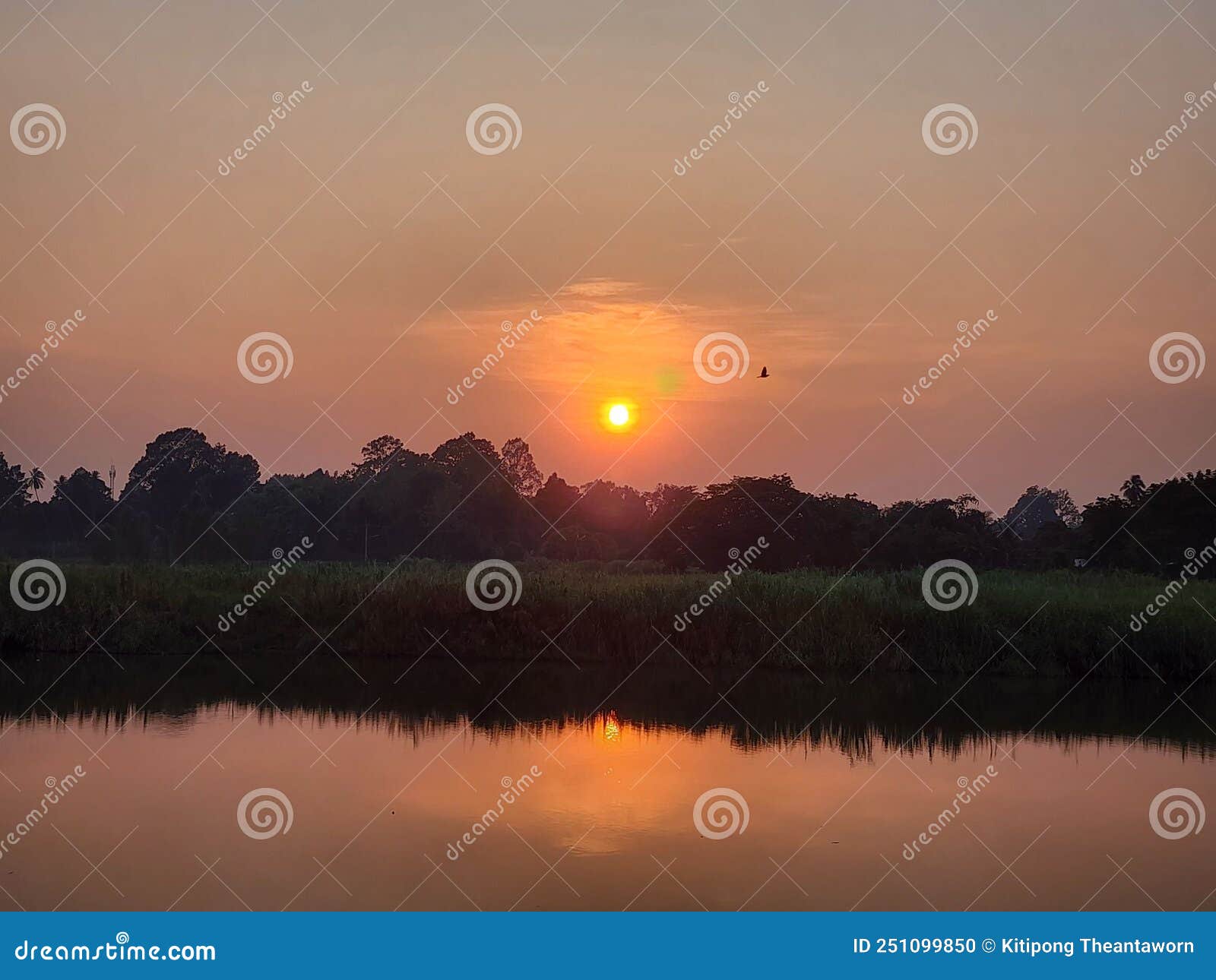 Sunset on the river stock photo. Image of water, bank - 251099850
