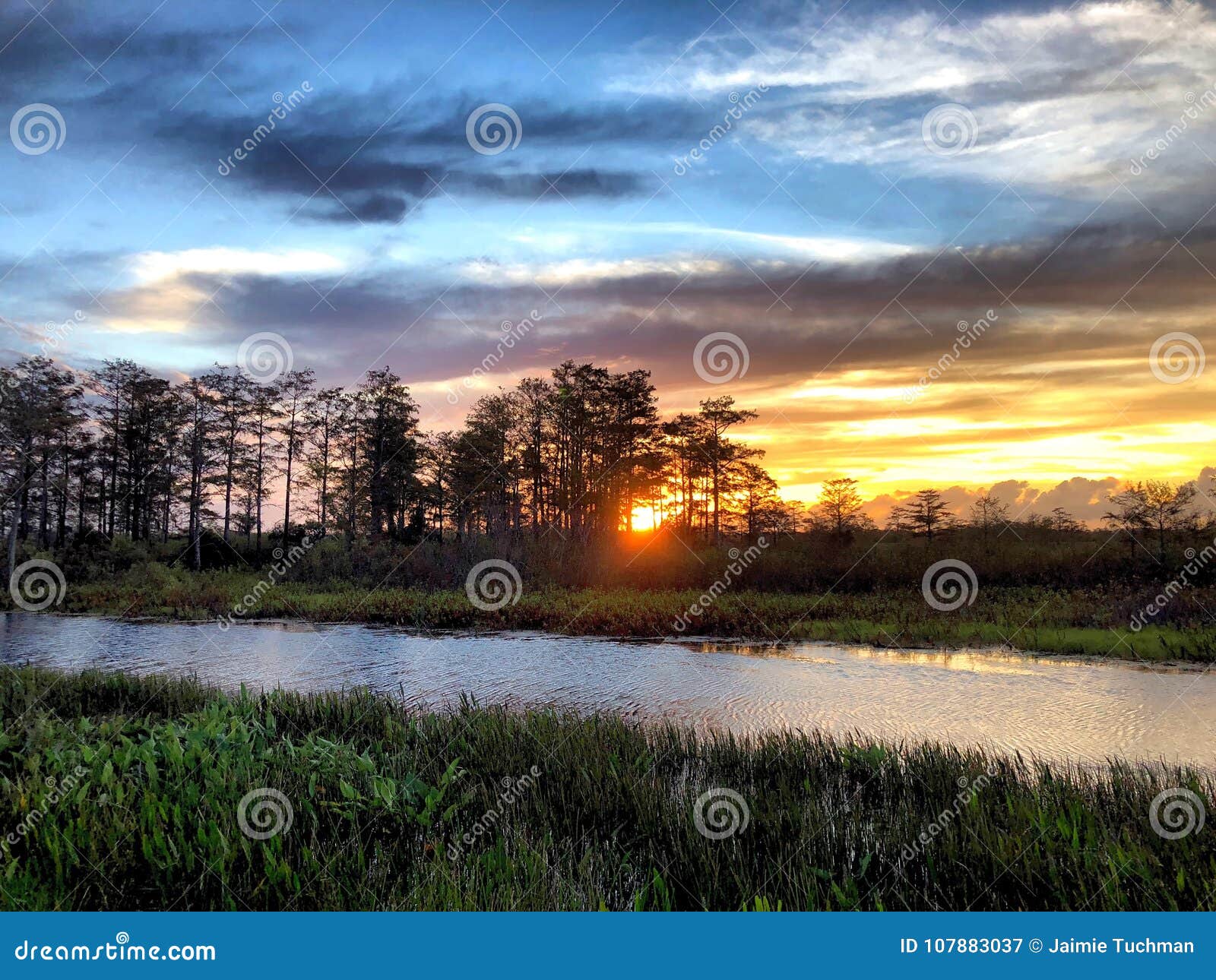Sunset on the bayou stock image. Image of peaceful, light - 107883037