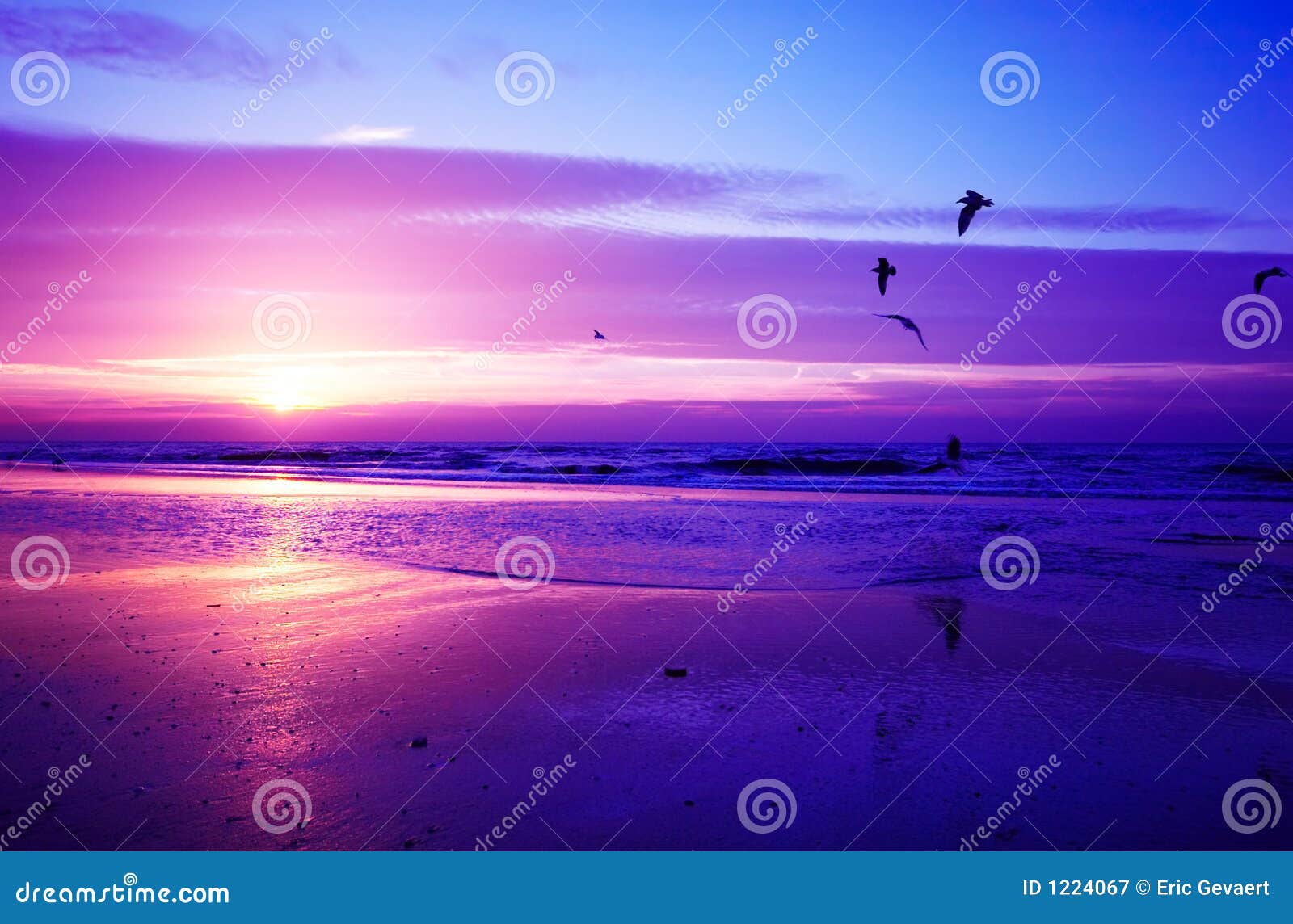 Sunset on the beach stock image. Image of season, open - 1224067