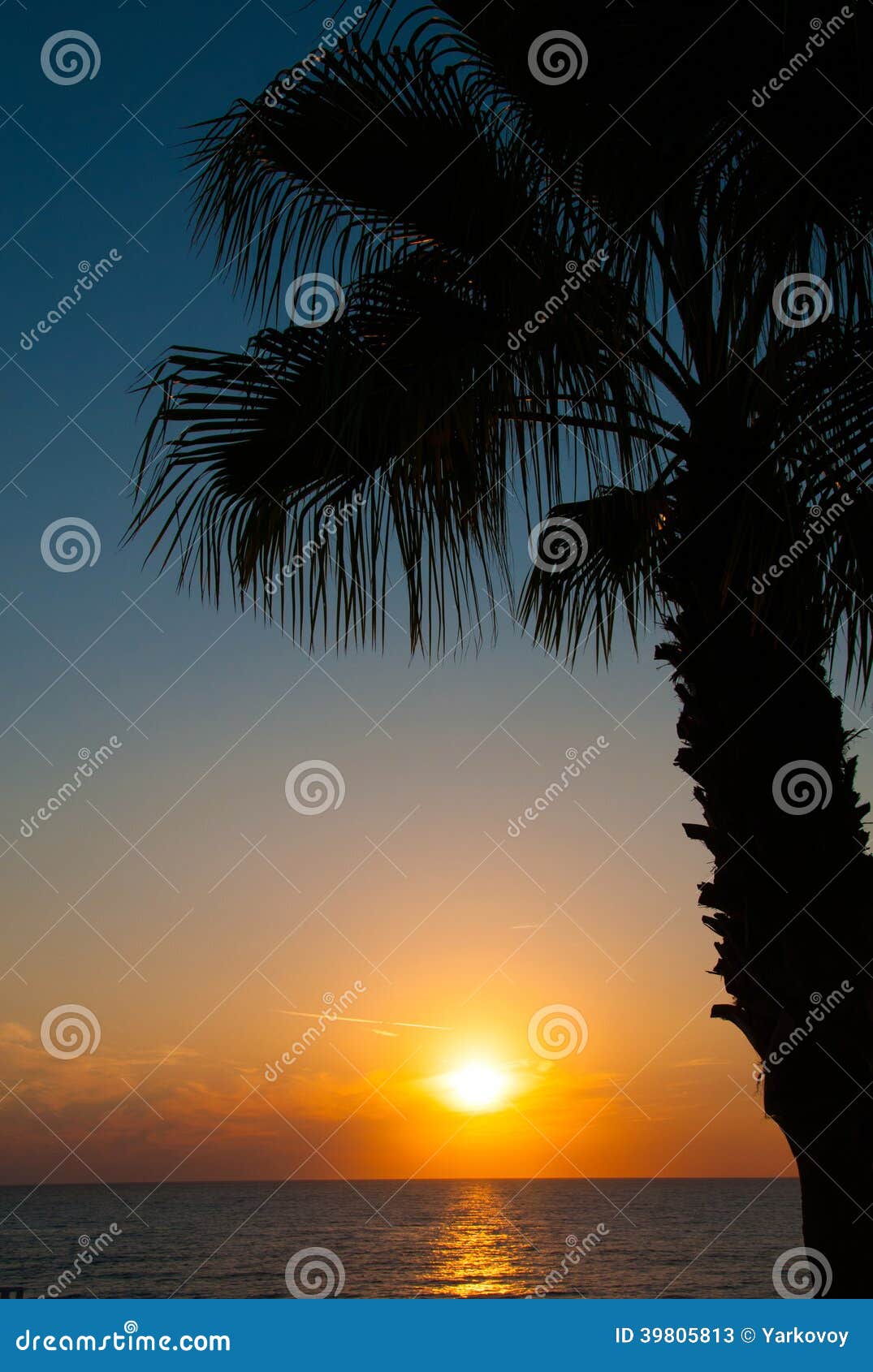 Sunset Beach, Evening Sea, Palm Trees Stock Image - Image of summer ...