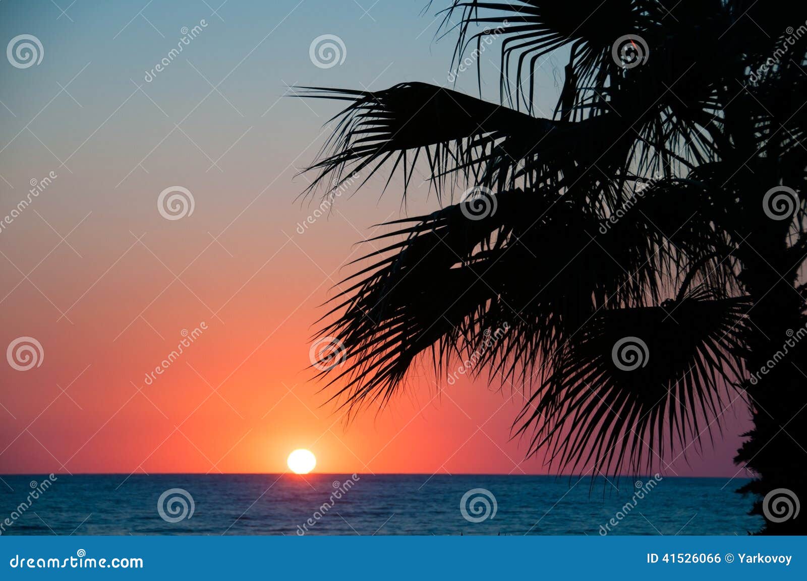Sunset Beach, Evening Sea, Palm Trees Stock Photo - Image of vacation ...
