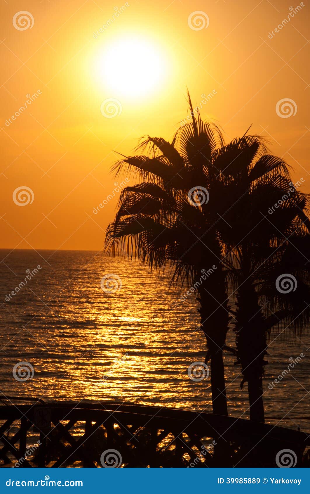 Sunset Beach, Evening Sea, Palm Trees Stock Image - Image of beautiful ...