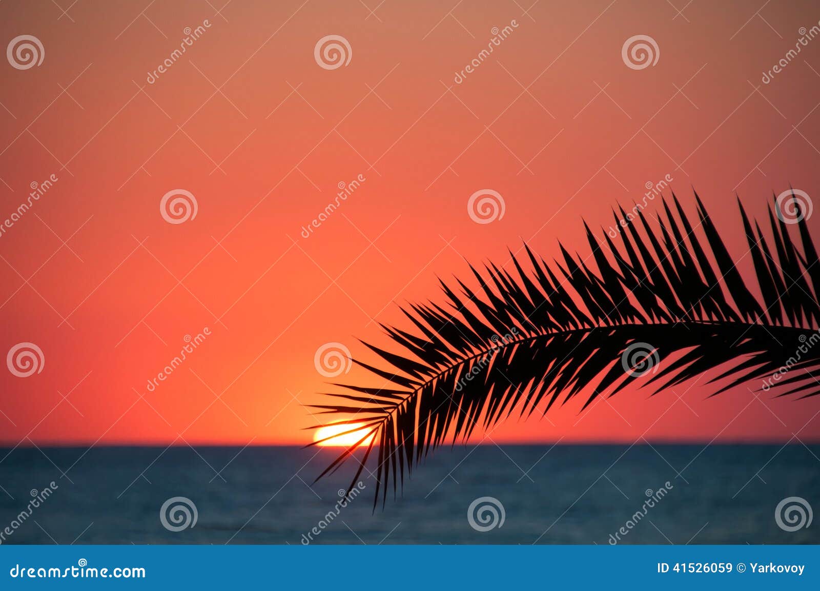 Sunset Beach, Evening Sea, Palm Trees Stock Image - Image of romantic ...