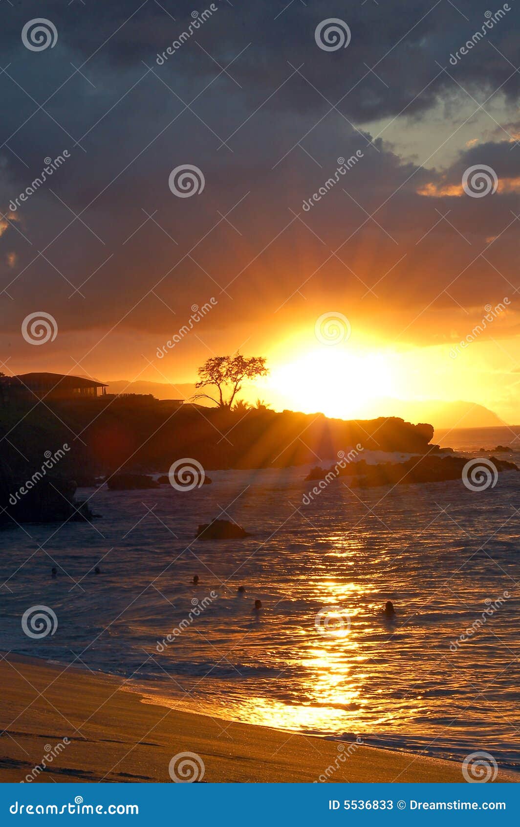 Sunset Beach Honolulu Hawaii Stock Image - Image of swim, ocean: 5536833