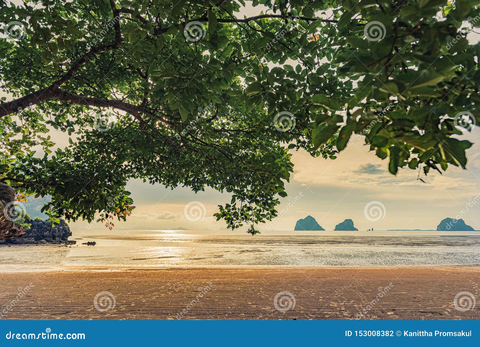 Sunset on the Beach with Leaves of Tree. Stock Photo - Image of ...