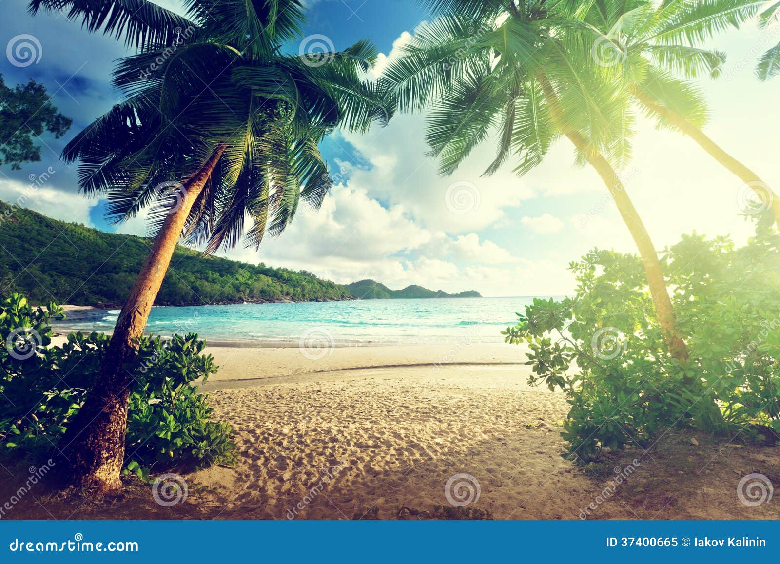 Sunset on Beach, Mahe Island Stock Image - Image of blue, leaf: 37400665