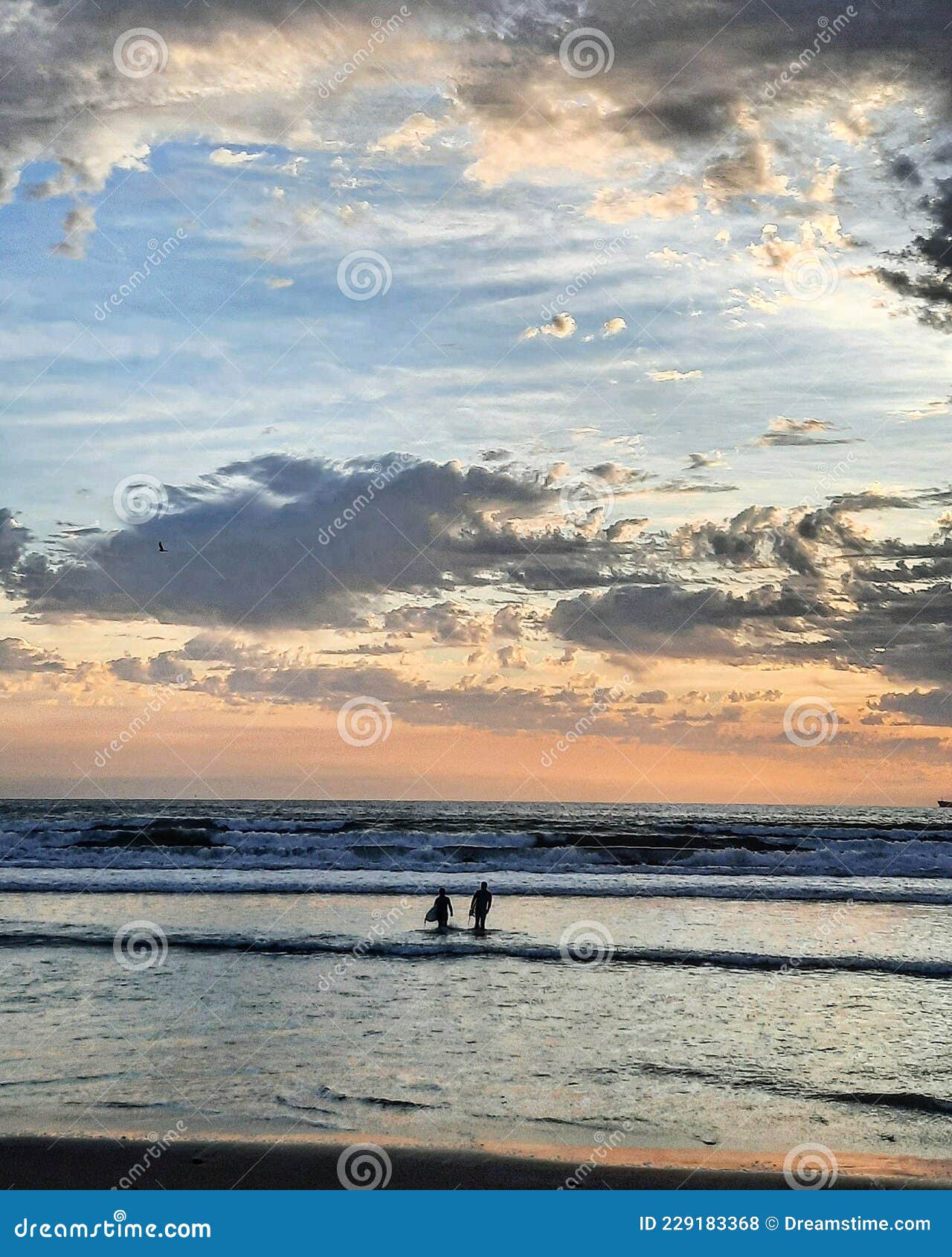 Sunset Beach Nature Sea Look Surf Stock Photo - Image of surf, horizon ...
