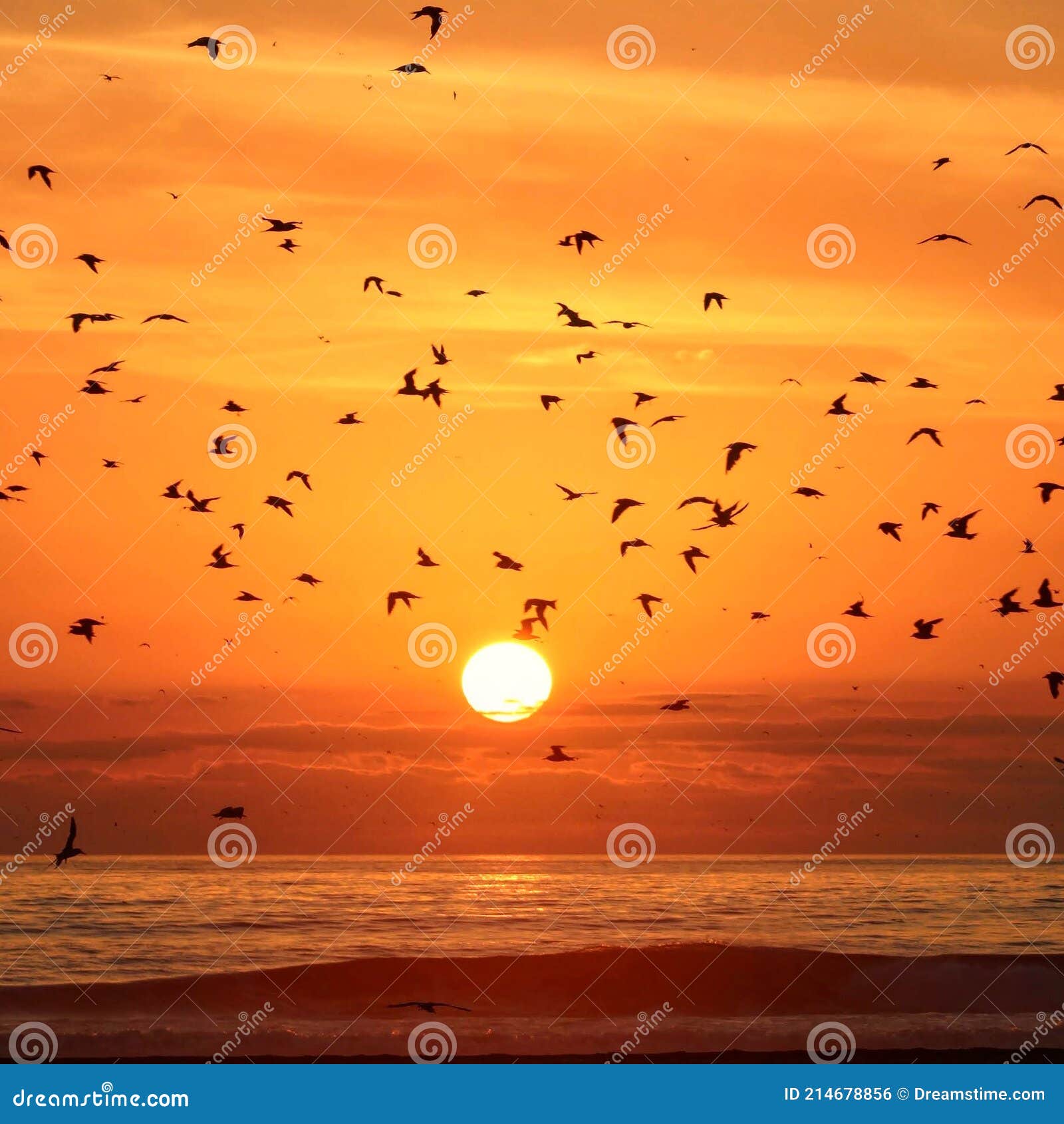 Sunset Beach Sea Nature Look Landcape Stock Photo - Image of afterglow ...