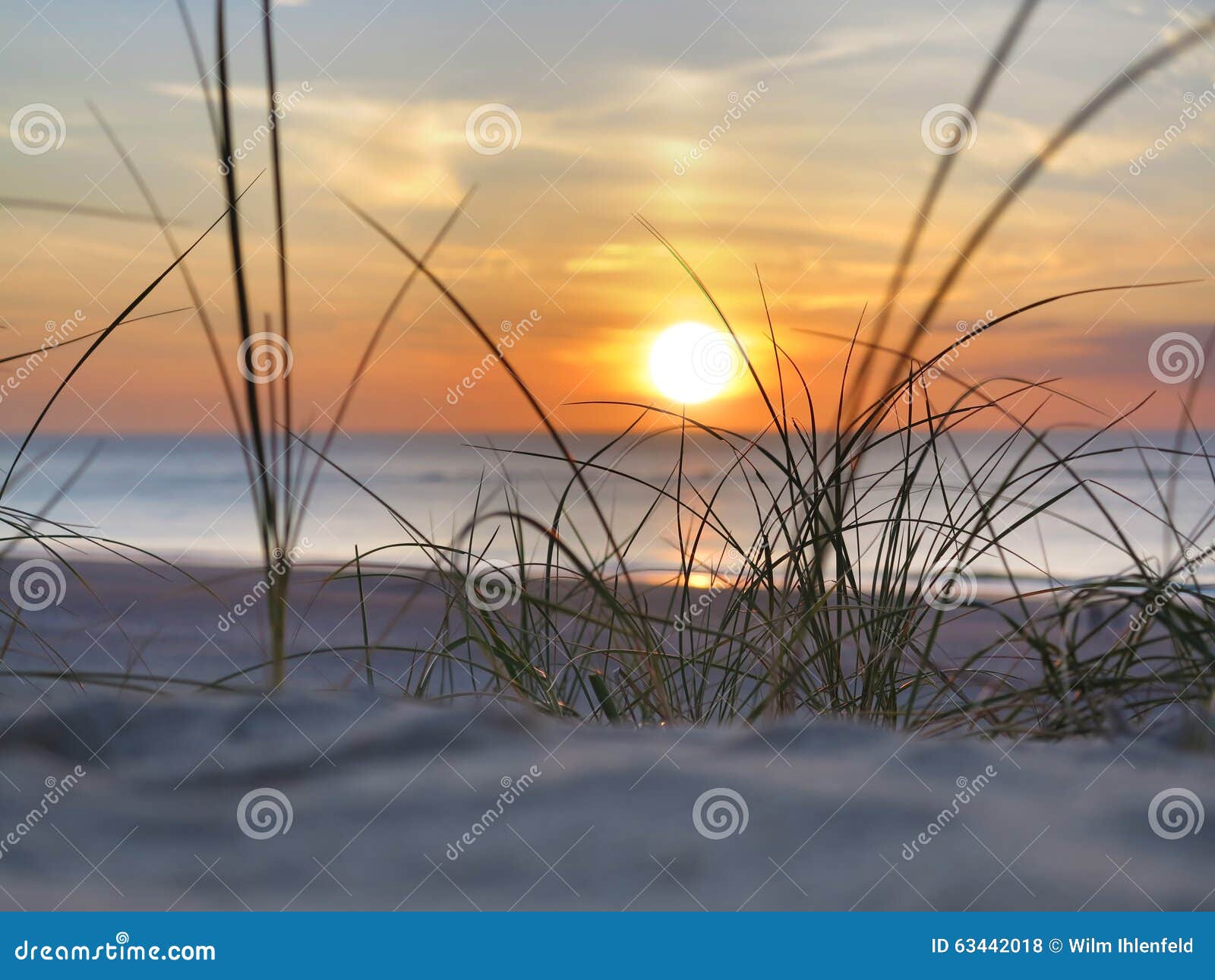 Sunset and beachgrass stock photo. Image of card, seaside - 63442018