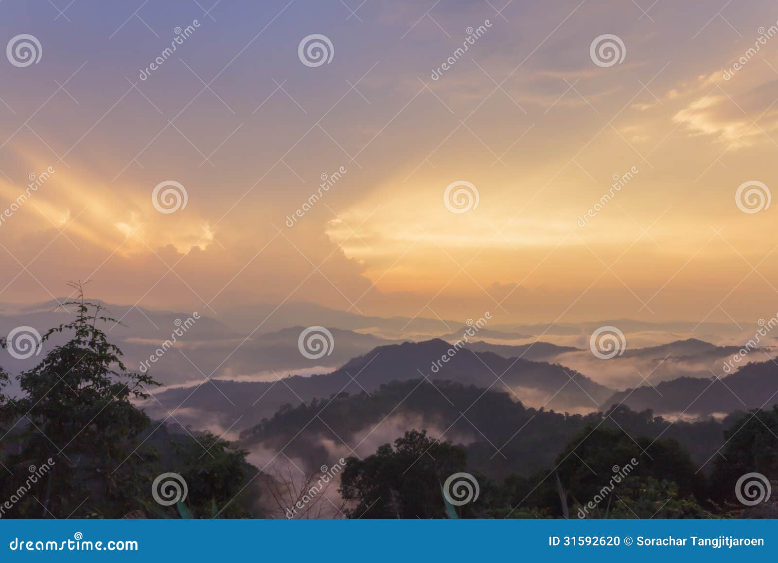 Beautiful Sunset Beam on Forest after Rain Storm. Stock Photo - Image ...