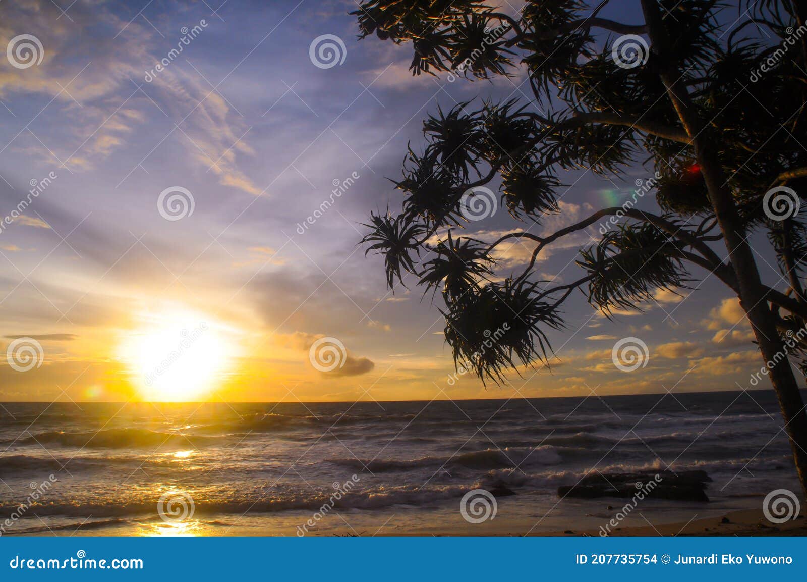 Sunset at a Beautiful Beach with Shade of Trees Stock Photo - Image of ...