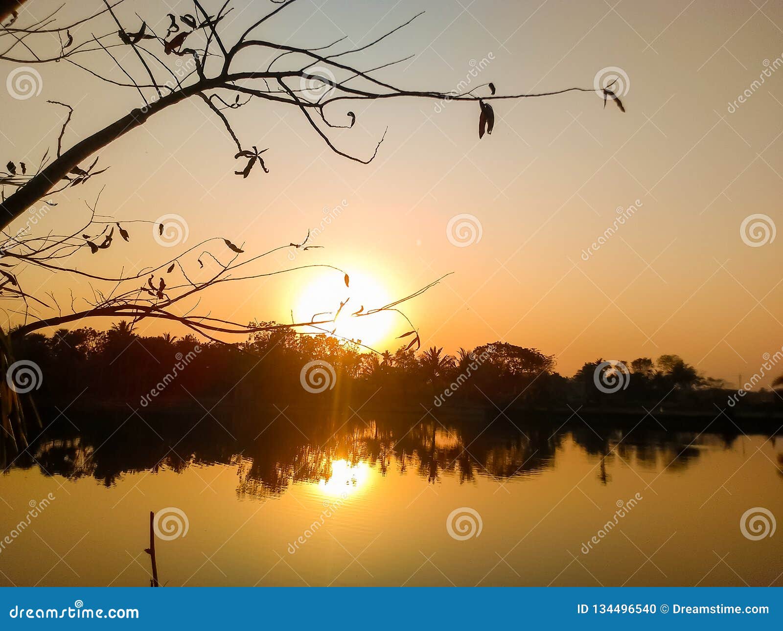 Beautiful evening sunset stock photo. Image of summer - 134496540