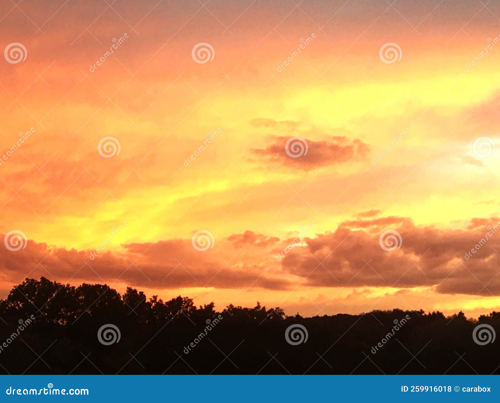 Sky in fire stock photo. Image of wallpaper, sunset - 259916018