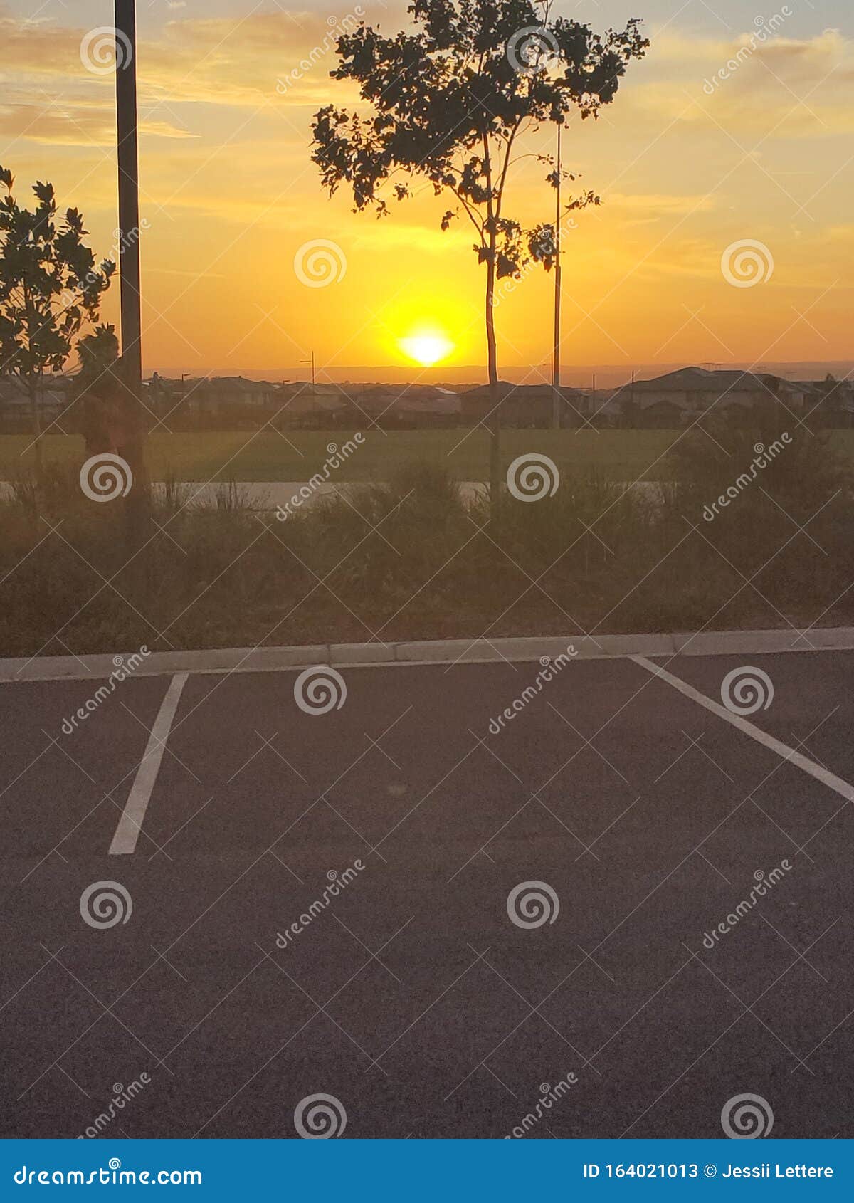 Sunset beauty stock image. Image of sunset, grass, park - 164021013