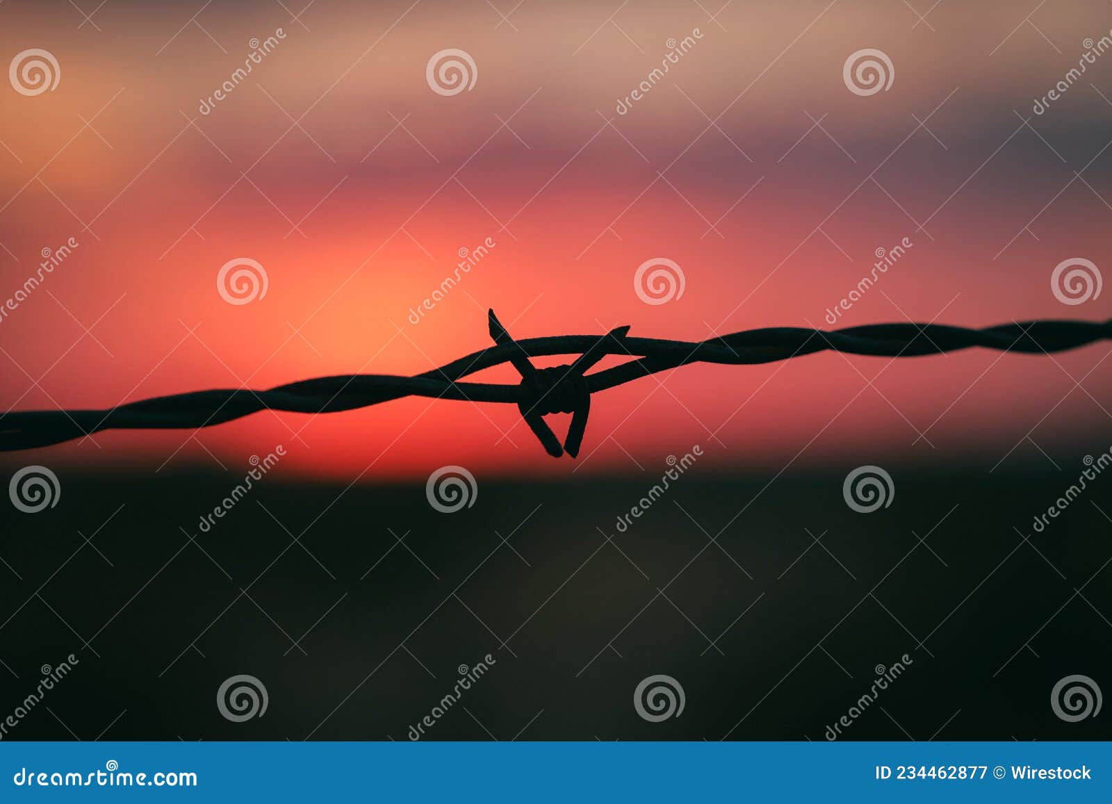 Sunset Behind the Barbed Wire Stock Image - Image of nature, sundown ...